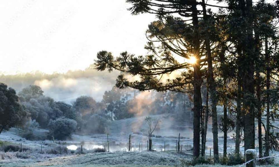 Inverno: quais são as características e quando começa?