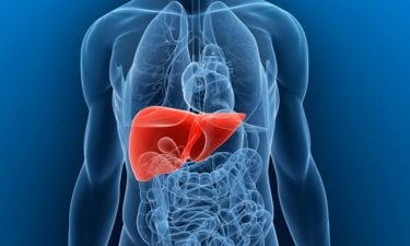 Quais sintomas podem indicar problema no fígado?