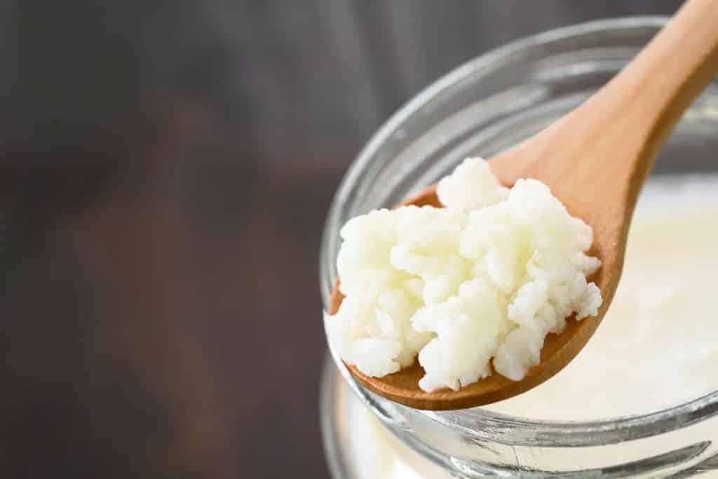 Kefir, o que é, como usar e seus benefícios para a saúde