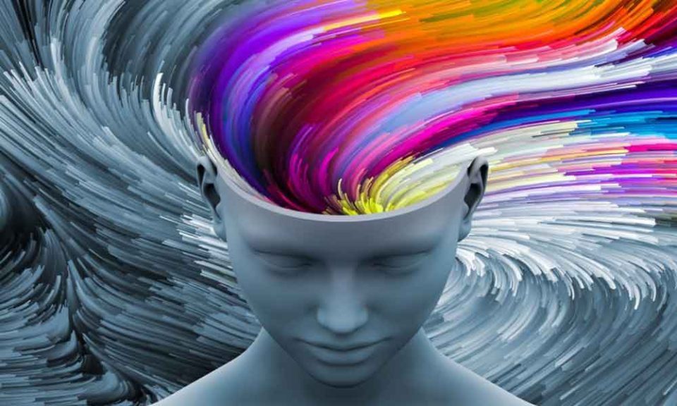 Descubra como as cores influenciam o nosso cérebro!