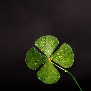 Sorte - O que é e como se tornar uma pessoa mais sortuda em 4 passos