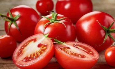 Tomate é fruta ou legume? Histórico, valor nutricional, tipos e benefícios