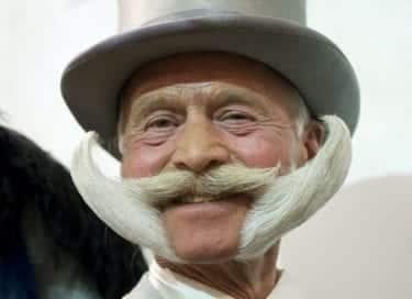 Bigodes:13 tipos de bigodões e suas características mais marcantes