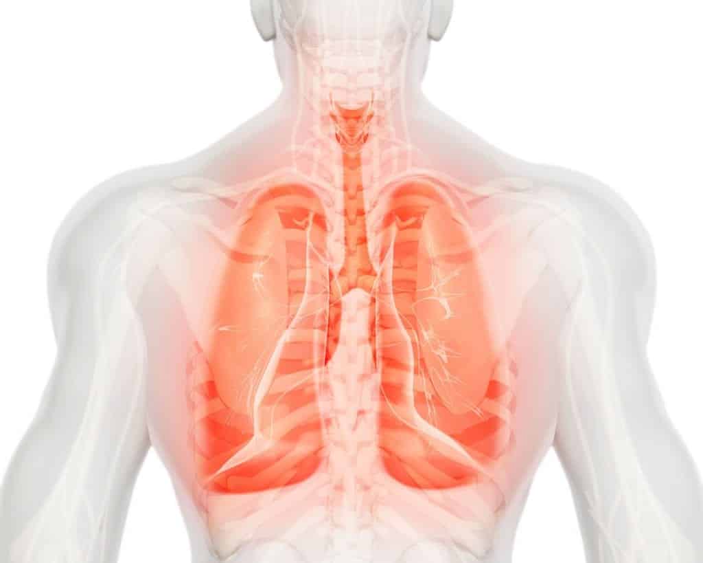 Respiração - Como funciona, importância e e relação com as emoções
