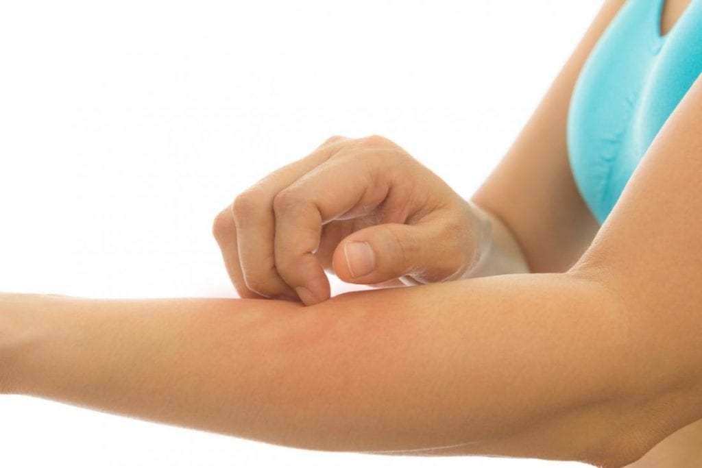 Cânfora - O que é, características, benefícios e como usar