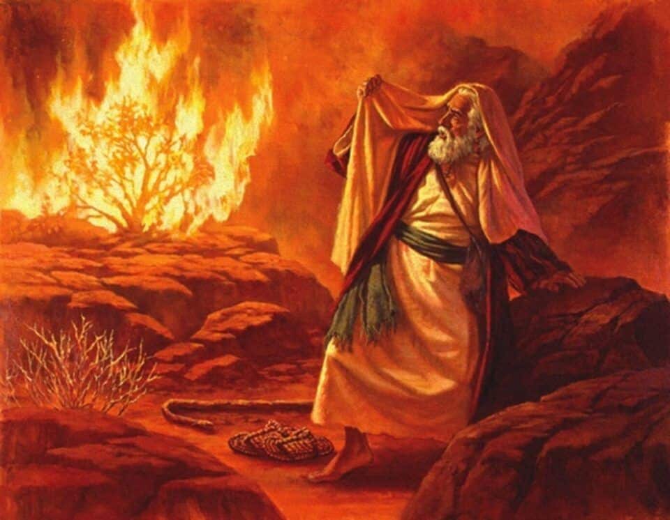 Teofania, o que é? Características e onde encontrar