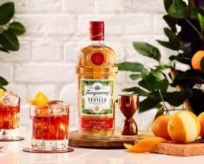 Melhor gin do mundo, qual é? Origem, preço e características