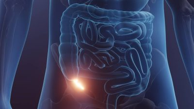 Afinal, qual é a função do apêndice?