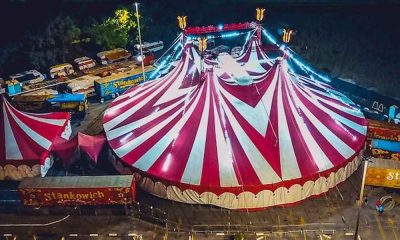 Circo: conheça a história e curiosidades dessa manifestação