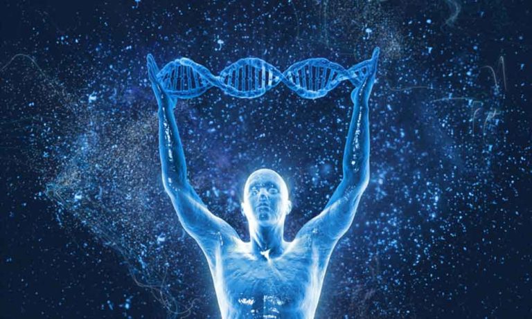 Quimerismo: conheça essa rara condição genética